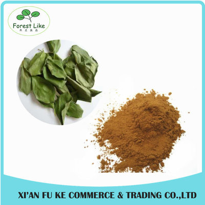 Natural Persimmon Leaf Extract Powder 10:1 20:1 supplier