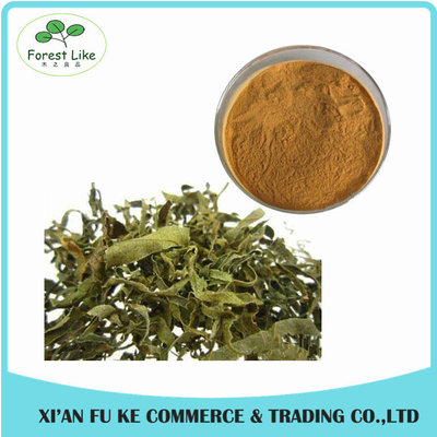 Natural Persimmon Leaf Extract Powder 10:1 20:1 supplier