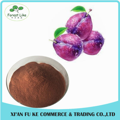 Water Soluble Dark Plum Fruit Juice Powder supplier