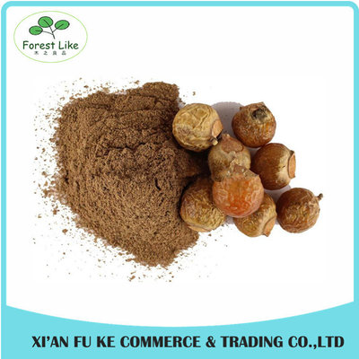 High Quality Reetha / Soapnut Extract Powder supplier