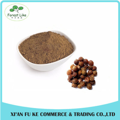 High Quality Reetha / Soapnut Extract Powder supplier