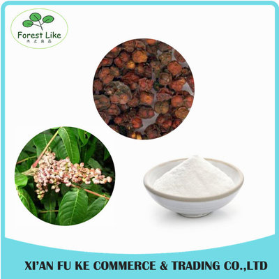 Gallnut Extract Gallic Acid Powder 99% supplier