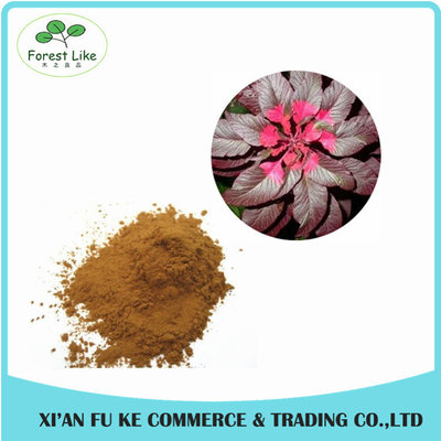 Best Price Food Color Natural Amaranth Pigment Red supplier