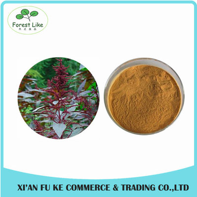 Best Price Food Color Natural Amaranth Pigment Red supplier