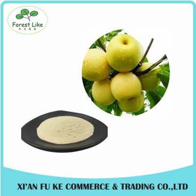 Natural Sydney / Snow Pear Fruit Juice Powder supplier