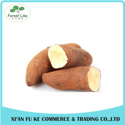 smallanthus sonchifolius supplier