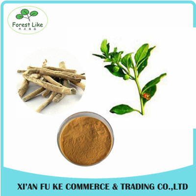 Panama Ginseng Extract Ginsenosides supplier