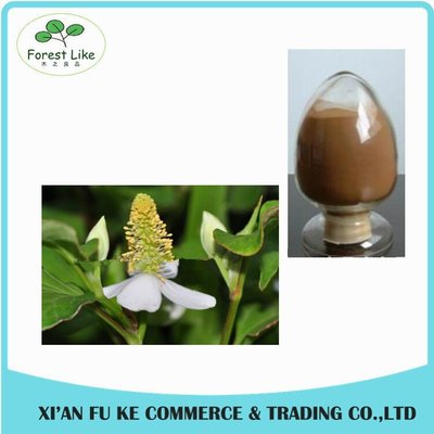 Natural Houttuynia Cordata Extract Powder 10 : 1 supplier
