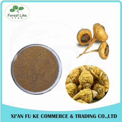 Herbal Sex Powder Men Health-care Anti-fatigue Product Maca Root Extract Powder supplier
