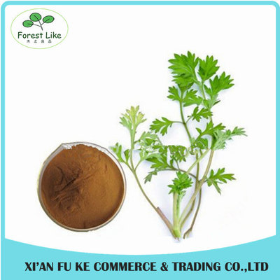 Chinese Herb Extract Mugwort Leaf Extract 5:1- 20:1 supplier