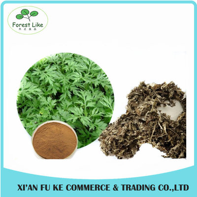 Chinese Herb Extract Mugwort Leaf Extract 5:1- 20:1 supplier