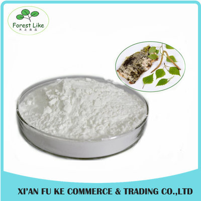 Factory Supply 98% Betulin Powder White Birch Bark Extract supplier