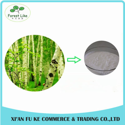 Factory Supply 98% Betulin Powder White Birch Bark Extract supplier