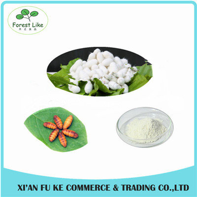 Factory Supply Best Price Silkworm Pupa Protein Powder supplier