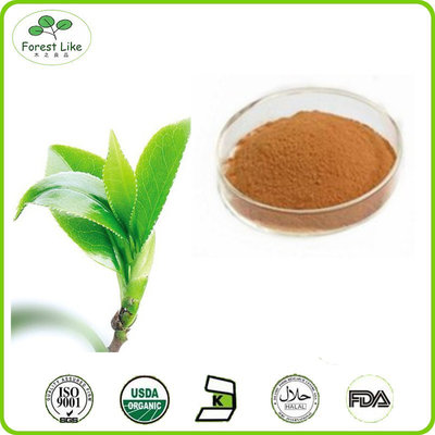 Health Product Green Tea Extract 98%Tea Polyphenol supplier