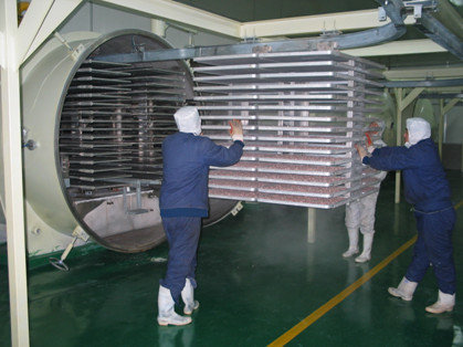OEM Stainless Steel Health Freeze Dry Machine For Fruit Dehydrator