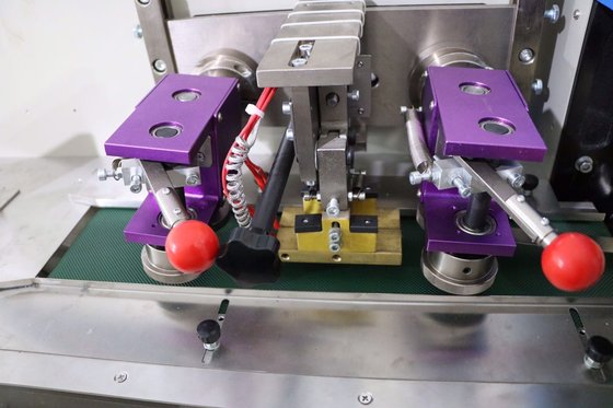 Taichuan good accuracy vegetable pillow packaging machine with three servo motor