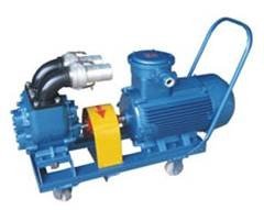 Ex Proof 3&quot; 12V Mobile Fuel Transfer Pump With High Suction Vacuum