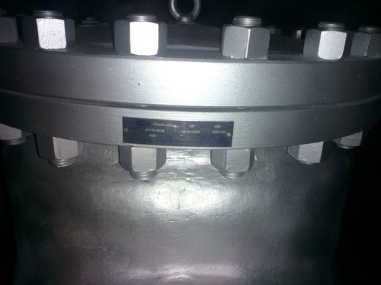 Custom Fuel Equipment 18 Inch Two Way Check Valve For Fuels