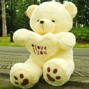 Professional Cute Plush Toys , Large Plush Teddy Bear For Girlfriend