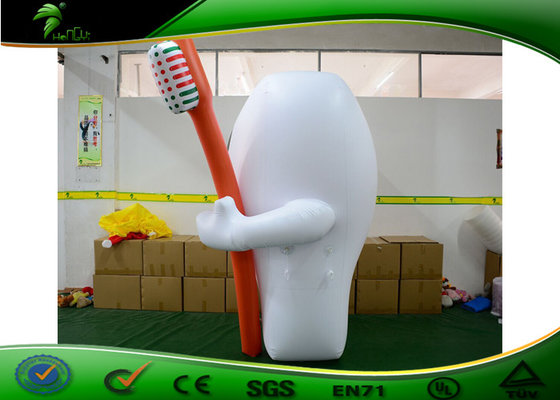 Promotion 2.3 M Height Inflatable Shapes / Inflatable Tooth With ToothBrush