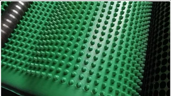 Roof Protection Dimpled Plastic Drain Sheet , Geosynthetics In Civil Engineering