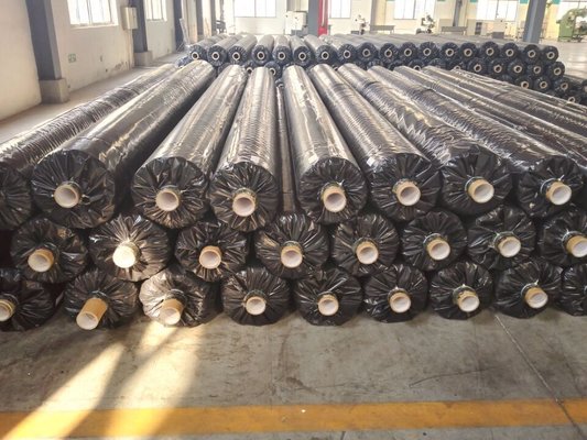Oxidative Resistance Retaining Wall Geogrid Plastic / Polyester / Polypropylene Material