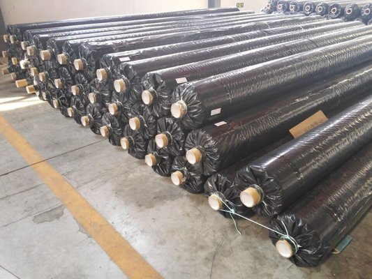 Black Color Polyethylene Retaining Wall Geogrid Fabric PVC Coating Heavy Duty