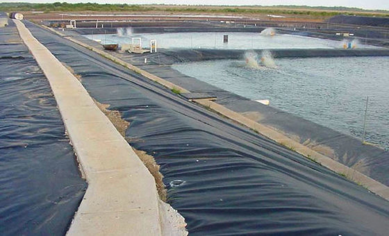 30 Mil Pvc / Hdpe Geomembrane Waterproof Pond Liner , Anti Ultraviolet Rigid Pond Liners