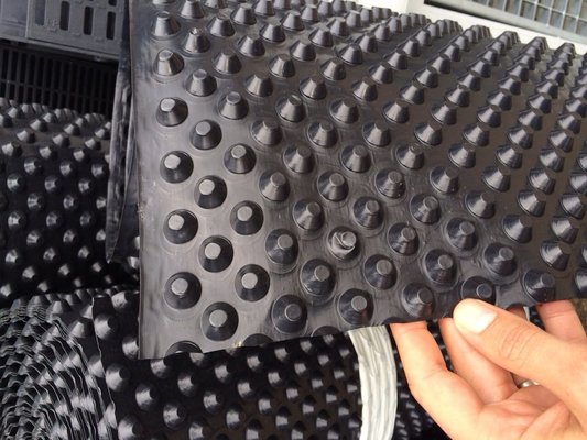 ASTM Standard Foundation Wall Dimpled Drainage Board Environmental Protection