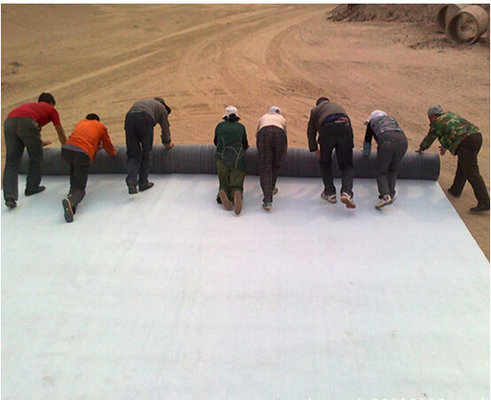 4800GSM Sodium Bentonite Geosynthetic Clay Liner Waterproofing For Ponds