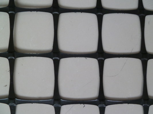 40KN/M Exturded Hot Stretched Polypropylene PP BX Retaining Wall Geogrid