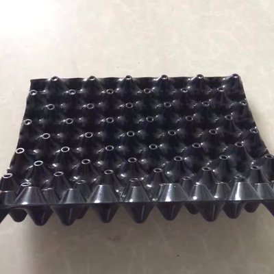 Green Roof Construction Used Double Side Dimpled Drainage Membrane