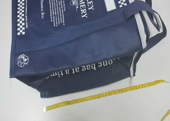 Нашивка полиэфира цветастая изолировала напольный мешок охладителя замораживателя для напольного обеда