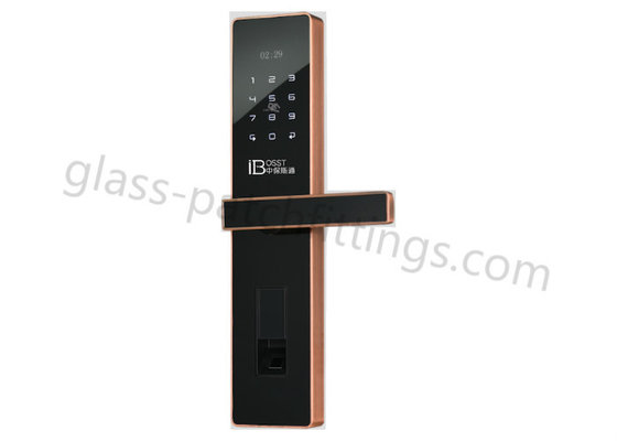 High Strength SS Fingerprint Door Lock DC 6V Power Supply Dynamic Current ≤200mA