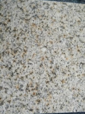Natural G682 Galaxy White Granite Countertops Unique Design Eco - Friendly