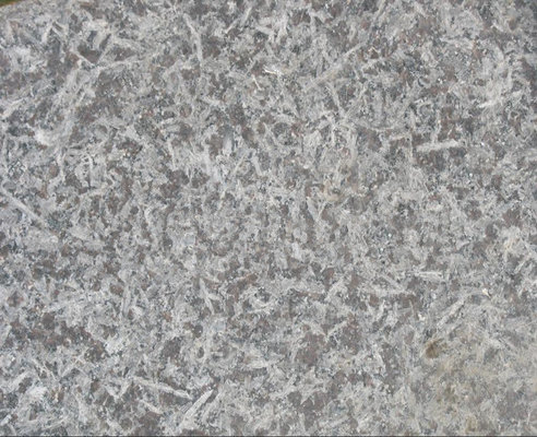 Saint Louis Brown Granite Stone Tiles / Composite Granite Floor Tiles