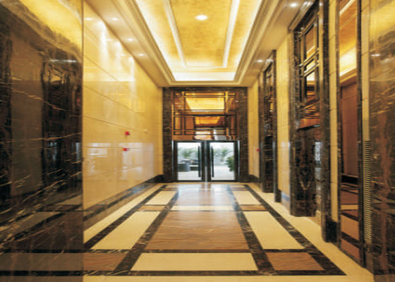 Personalized public space  high-speed Commercial Elevator of Guangri