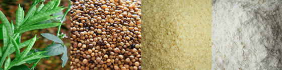 Fracturing Fluid Carboxymethyl Guar Gum in Chemicals For Oil Drilling