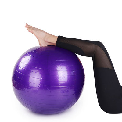 High Stability Gym Yoga Ball Lightweight Pink / Purple / Blue / Silver Color