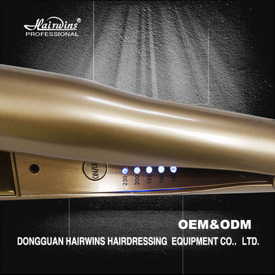 new 2 in 1 hair straightener Gold-plated titanium custom flat irons with private label