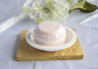 Macarons Original Formula Natural Fizzy Bath Bombs With Herbal Onespa GMPC