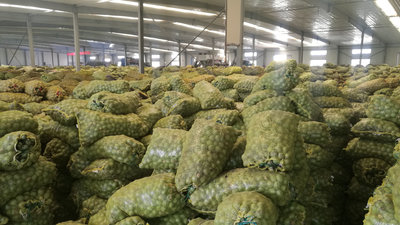 Hebei Suguo International Trade Co., Ltd
