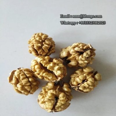 Top Grade Walnut Kernel Halves Walnut Kernel