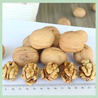 Walnut/ Dry Walnut / Kernel / Snack Food/ Agro Food/ Snack Food/Raw Walnut