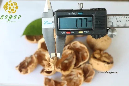 Northern Walnut Kernel & Whole Half Walnut Kernel & Balanced Walnut Kernel