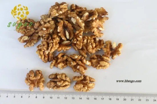 AA Walnut Kernel Light Amber & Whole Half Walnut Kernel & Balanced Walnut Kernel & Nut