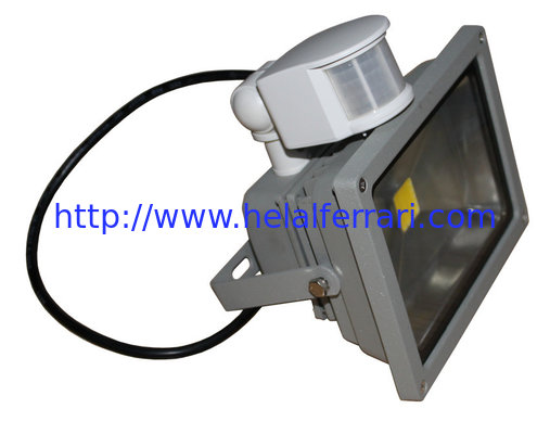 10Watt Waterproof LED Flood Light with Sensor For Clubs , Hotels supplier