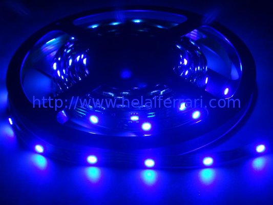 Super Bright Ip67 Waterproof Flexible LED Strips Light For Amusement Park supplier