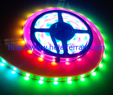 5050 IC RGB 5 Meter Flexible LED Strip Light Color Changing in IP68 For outdoor use supplier